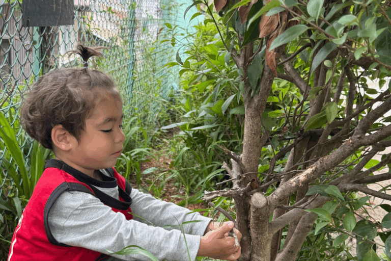 Best Summer Programs for Kids: Learning and Fun Opportunities - GoConnect